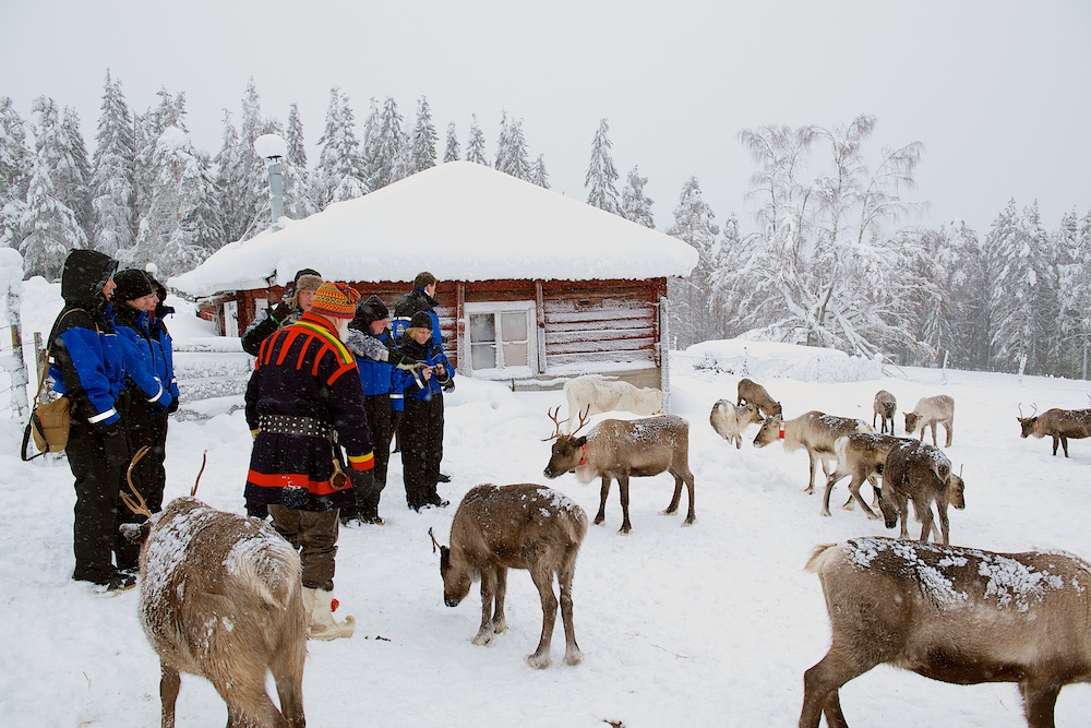 Visit to a Sami family - Activity in Norrbotten Sweden - 2025-2026 with ...