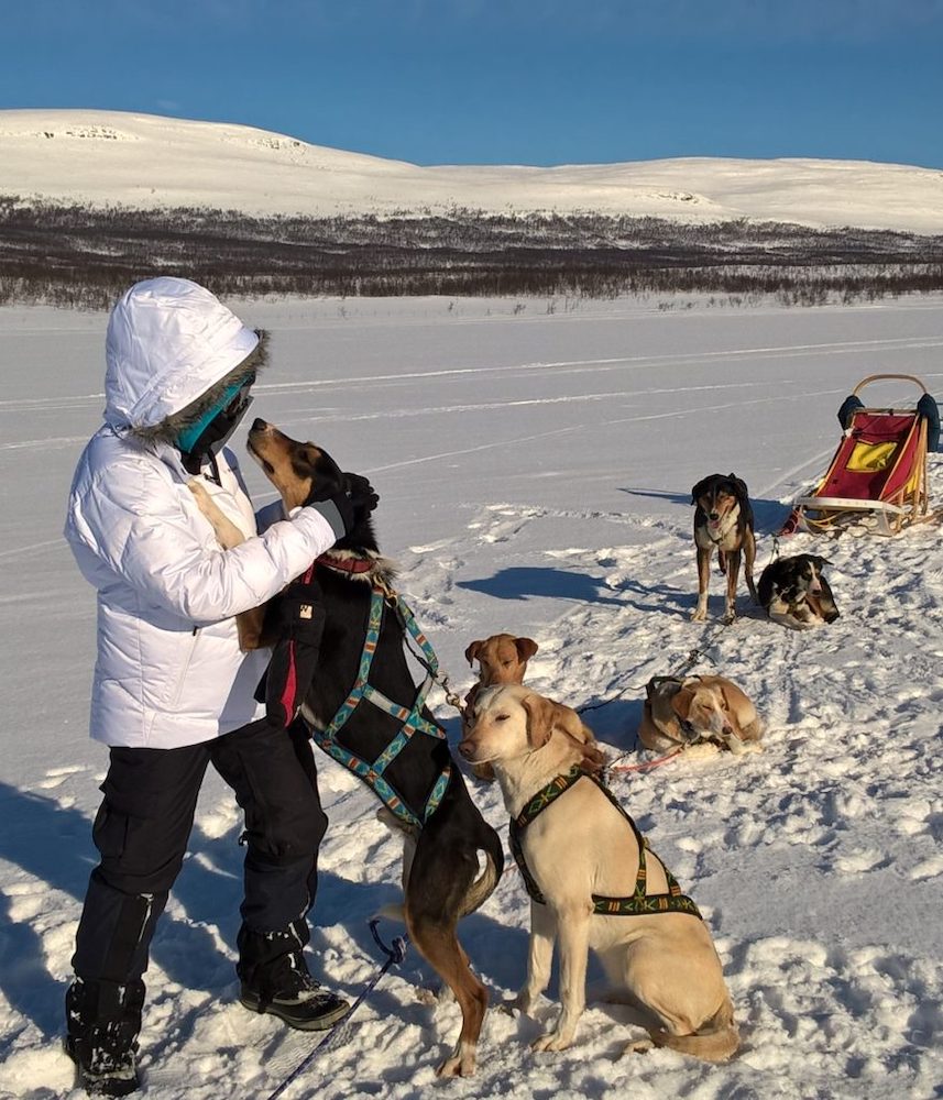 Arctic Husky Adventure in Finnish Lapland - Wilderness Tour in Lapland ...